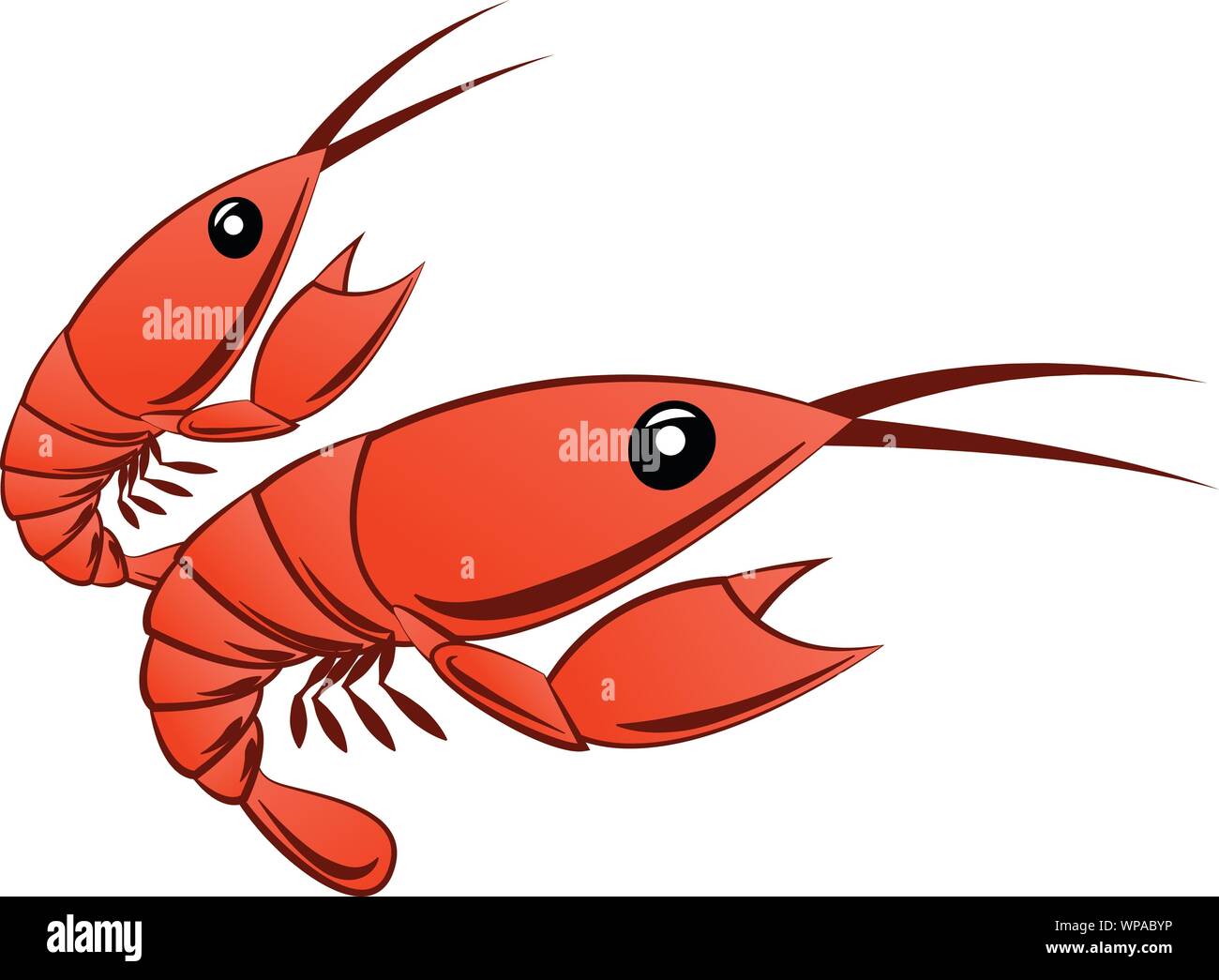 Cartoon shrimp Banque d'images vectorielles - Alamy