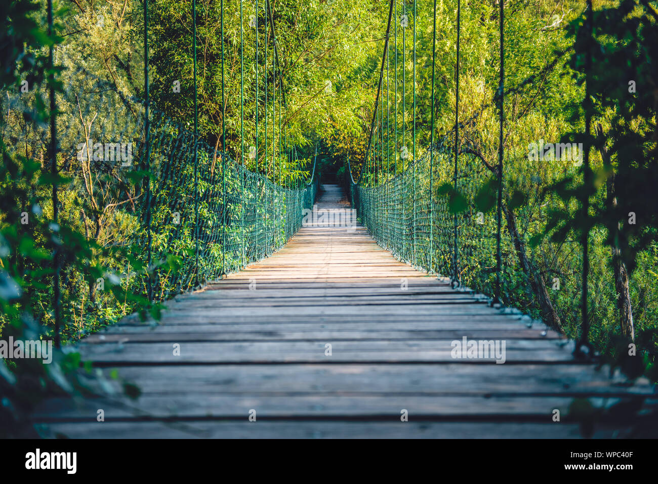 Pont suspendu en bois Banque de photographies et d’images à haute ...