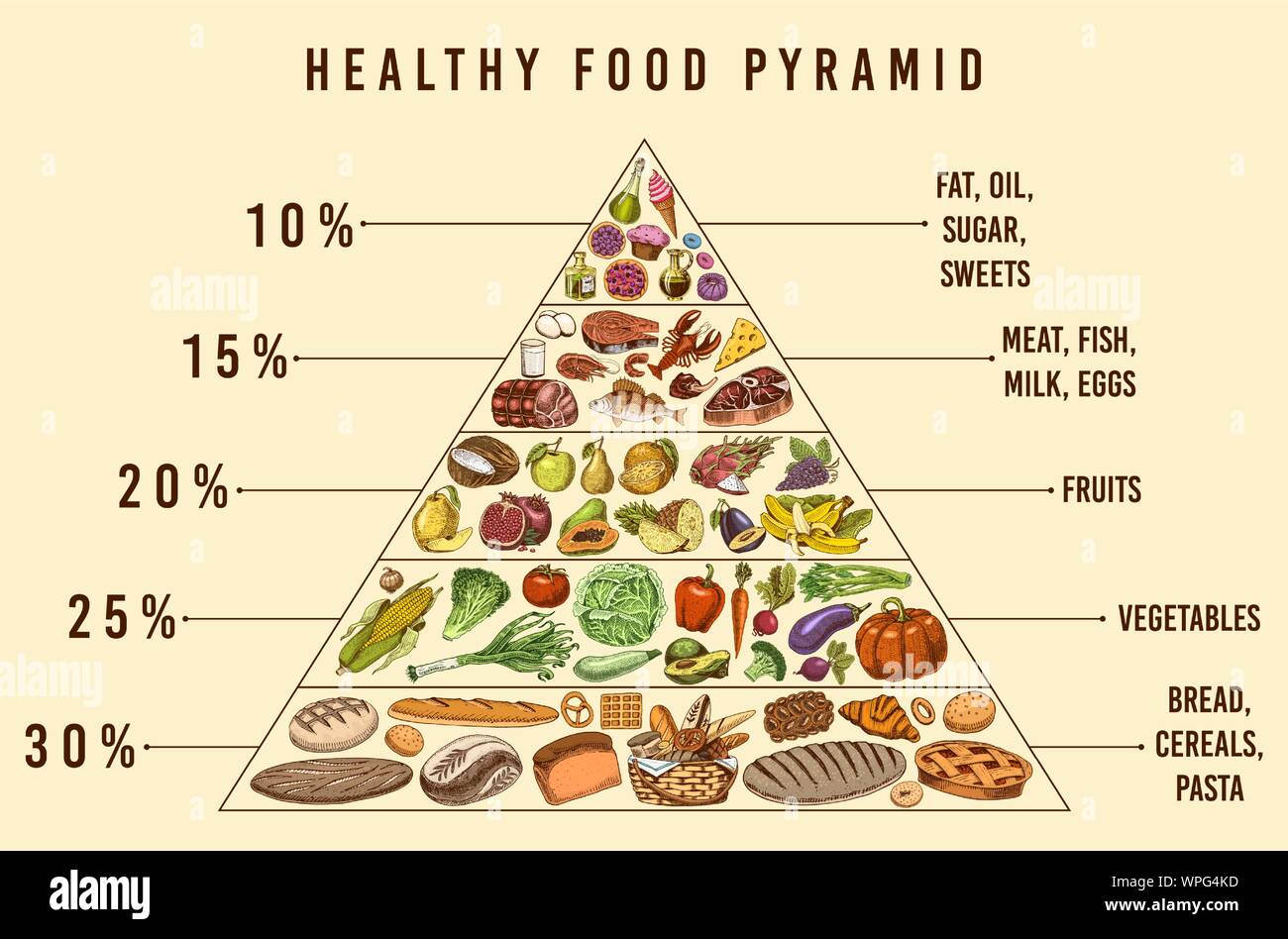 Nutrition guide Banque d'images vectorielles - Alamy