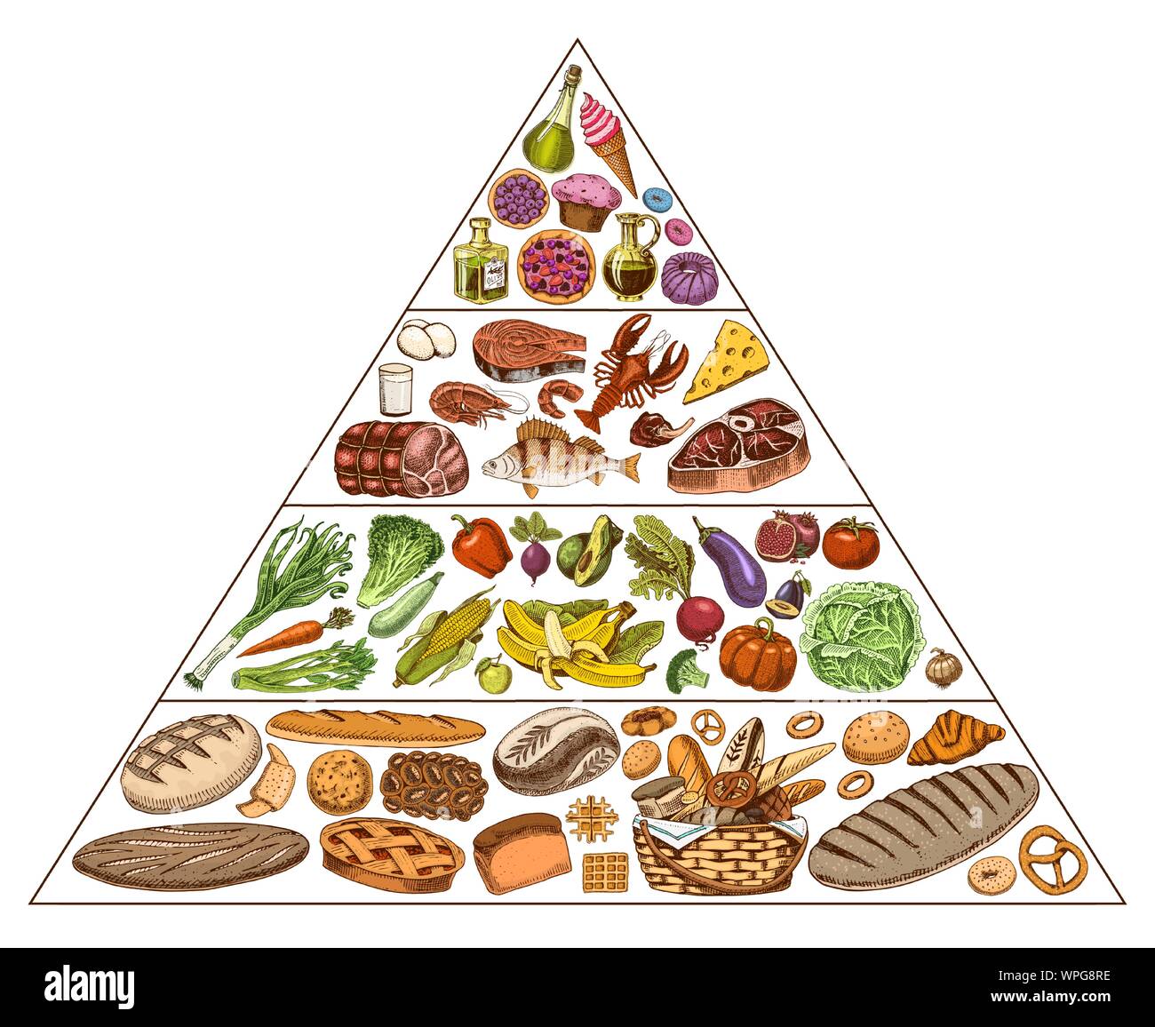 Balanced diet diagram Banque d'images vectorielles - Alamy
