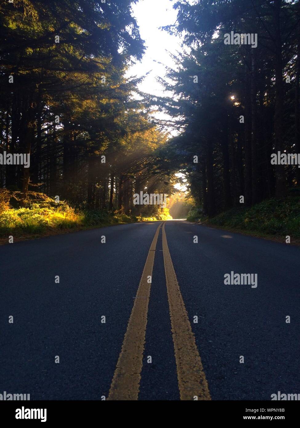 Ligne double jaune Banque de photographies et d’images à haute ...