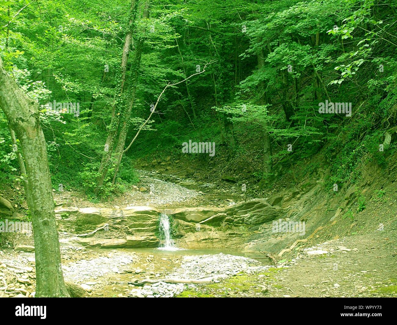 Roches couvertes de mousse et cascade Banque de photographies et d ...