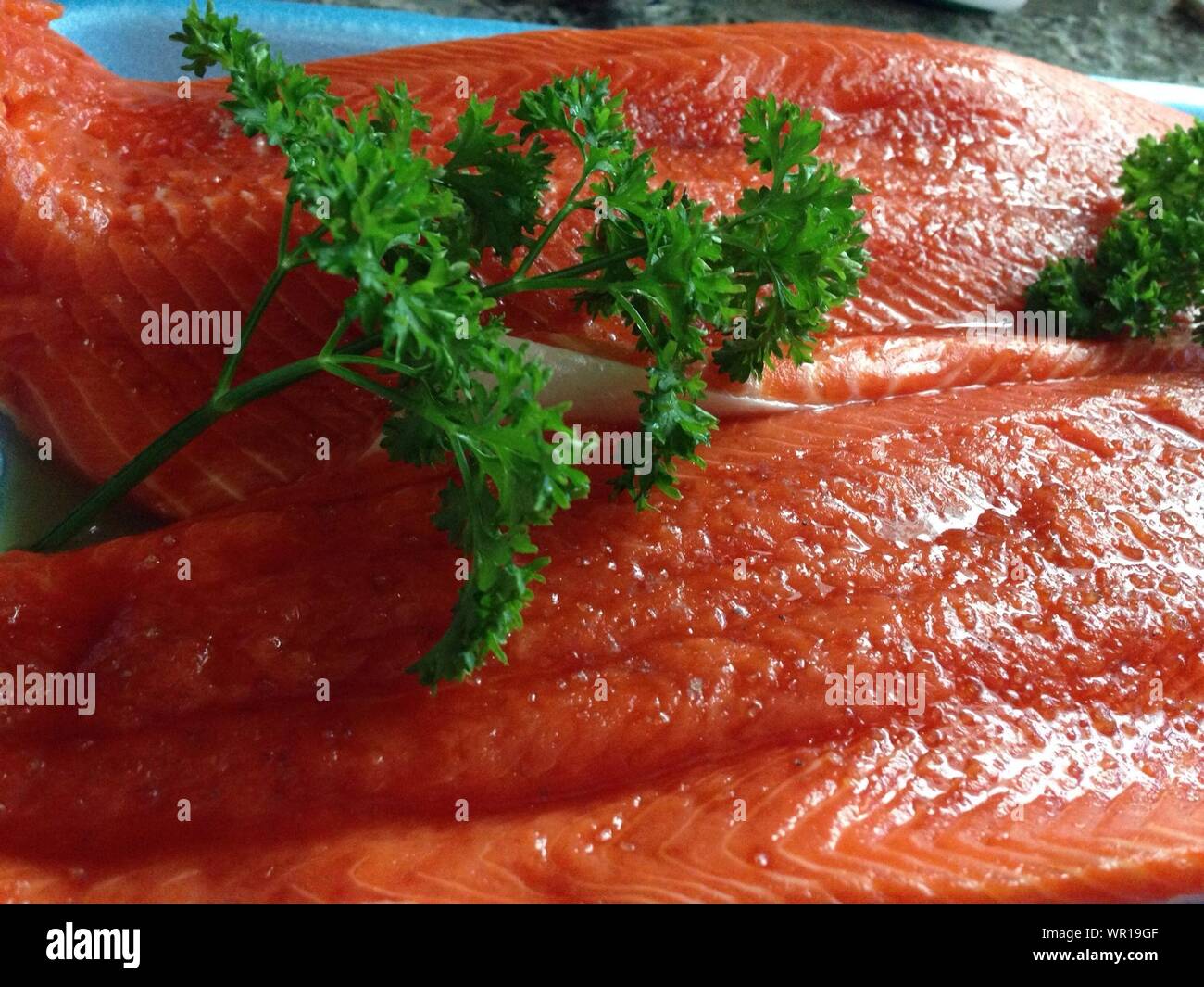 Viande de poisson Banque de photographies et d’images à haute ...