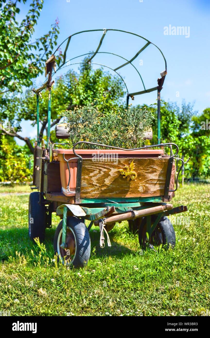 Charrette à bras Banque de photographies et d’images à haute résolution ...