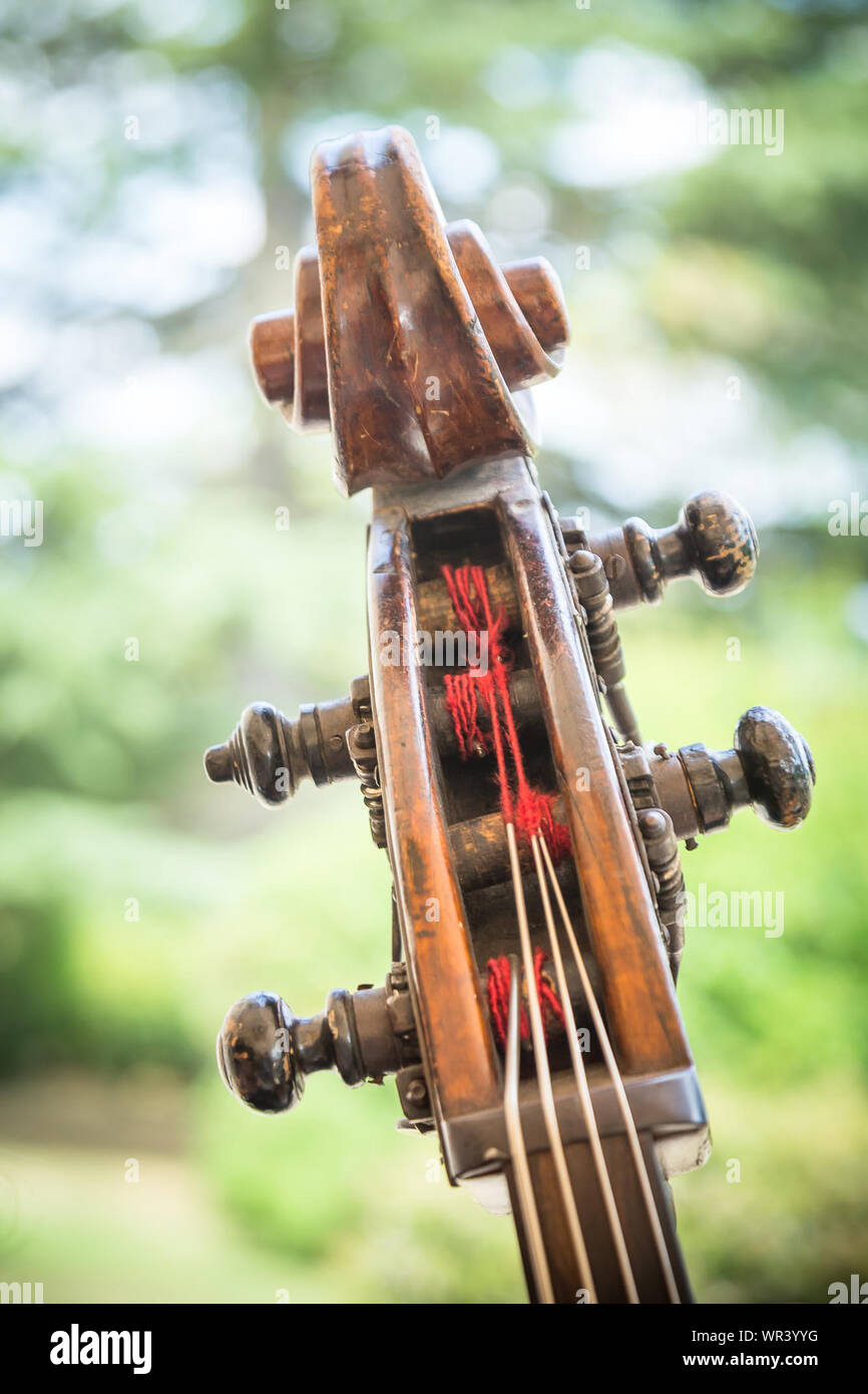 Instrument à cordes Banque de photographies et d’images à haute ...