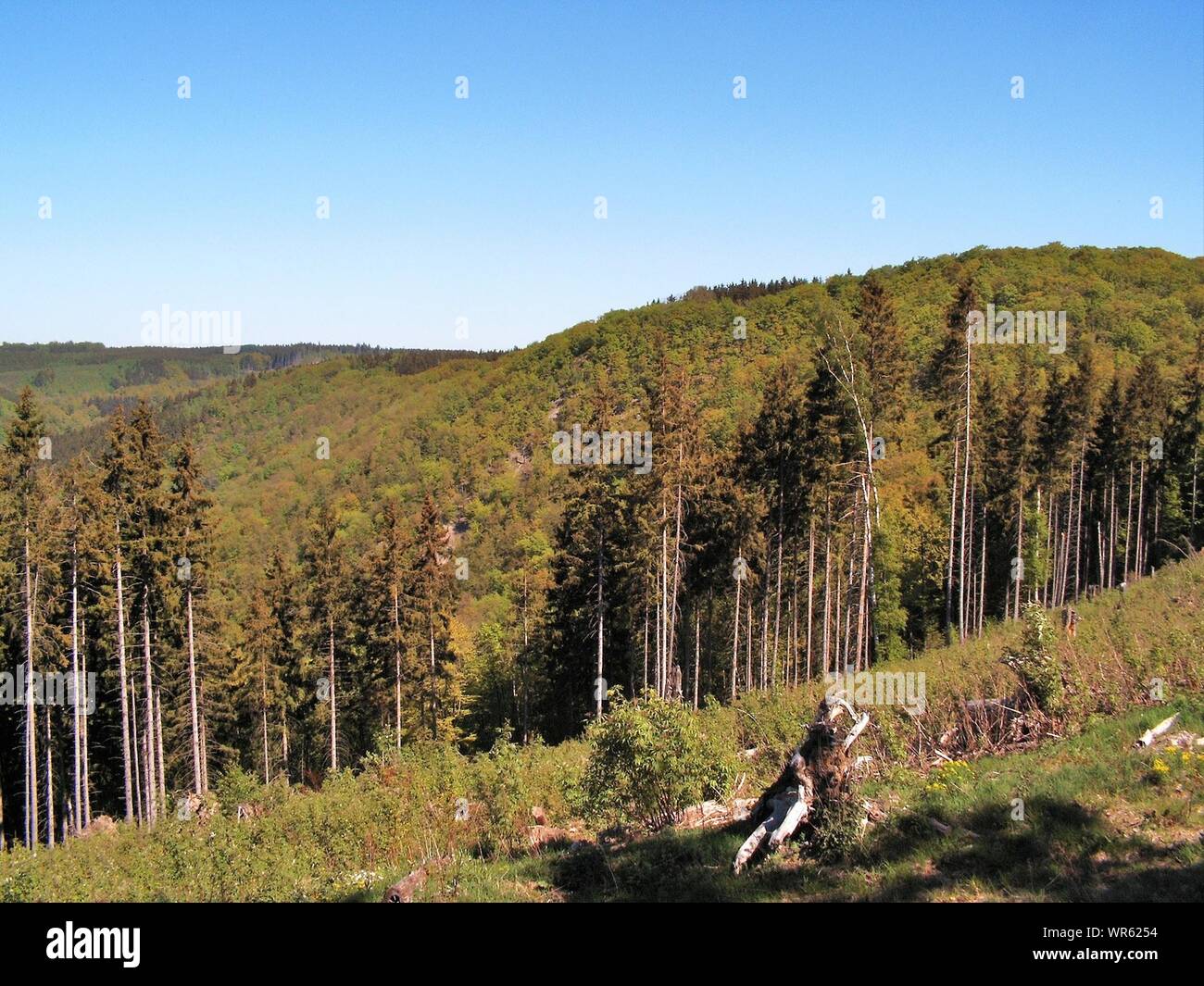 Paysage ensoleillé Banque de photographies et d’images à haute ...