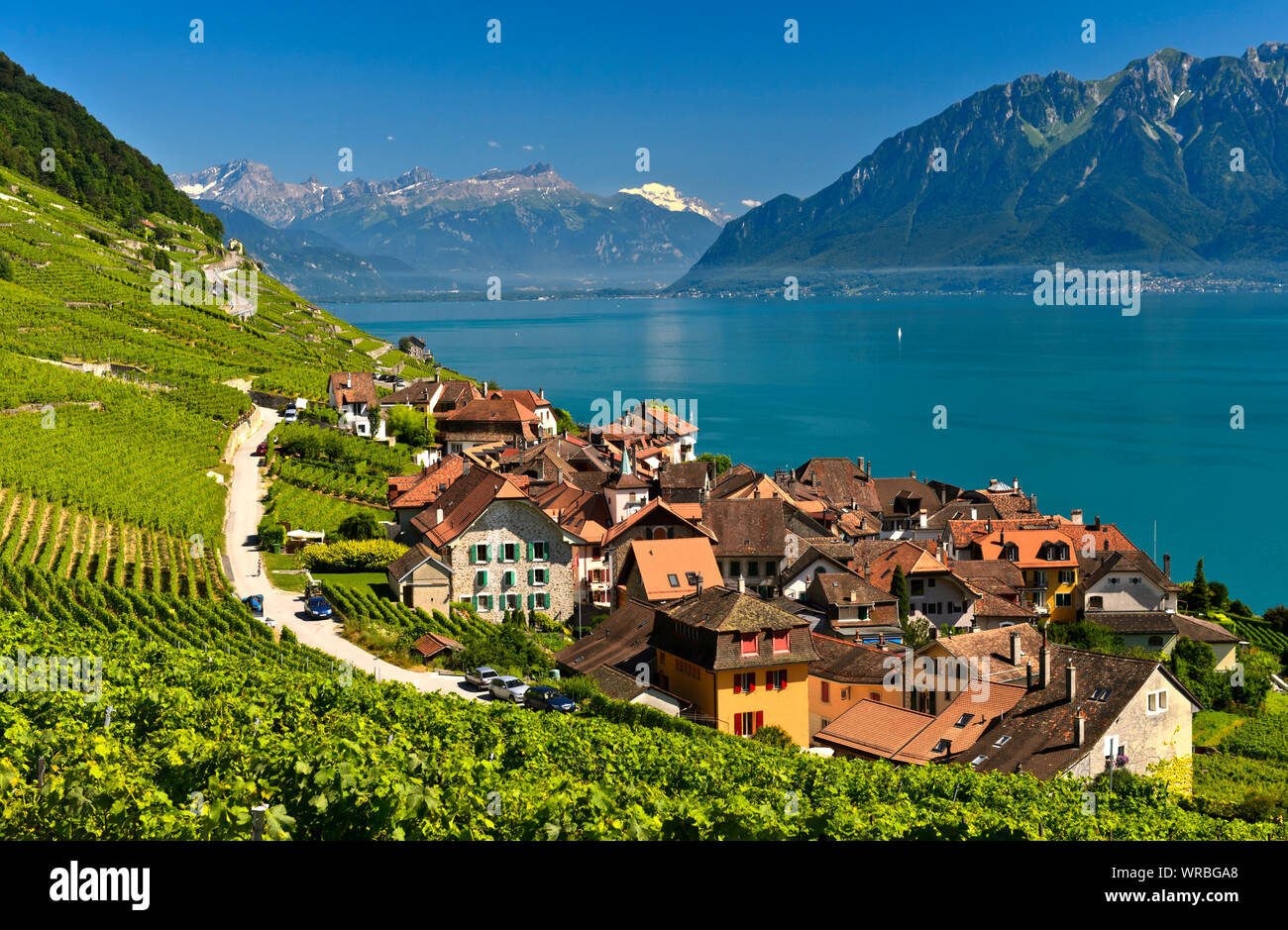 Lavaux oron Banque de photographies et d’images à haute résolution - Alamy
