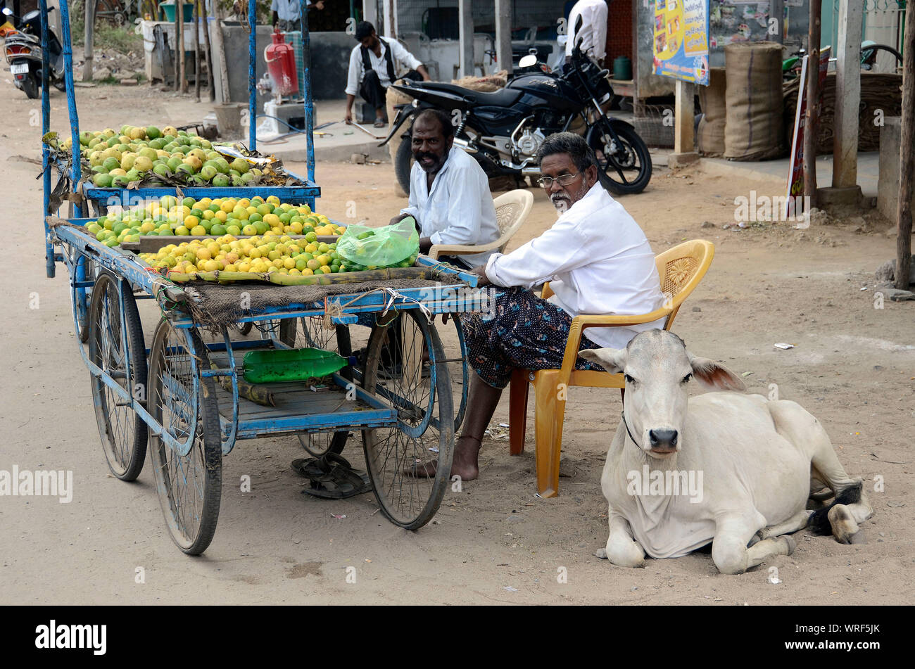 Amaravati andhra pradesh Banque de photographies et d’images à haute résolution - Alamy
