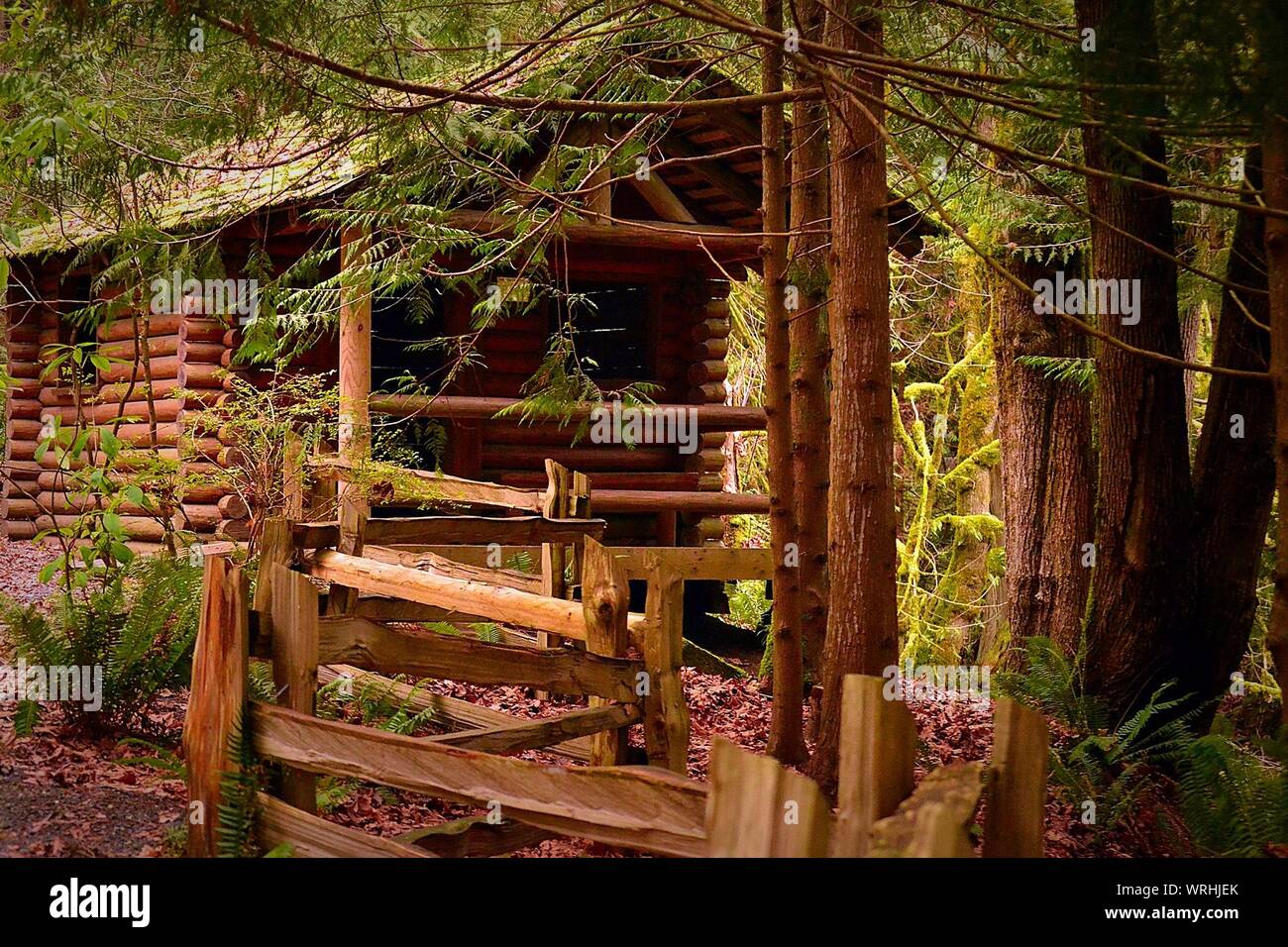 Maison foret en bois Banque de photographies et d’images à haute ...