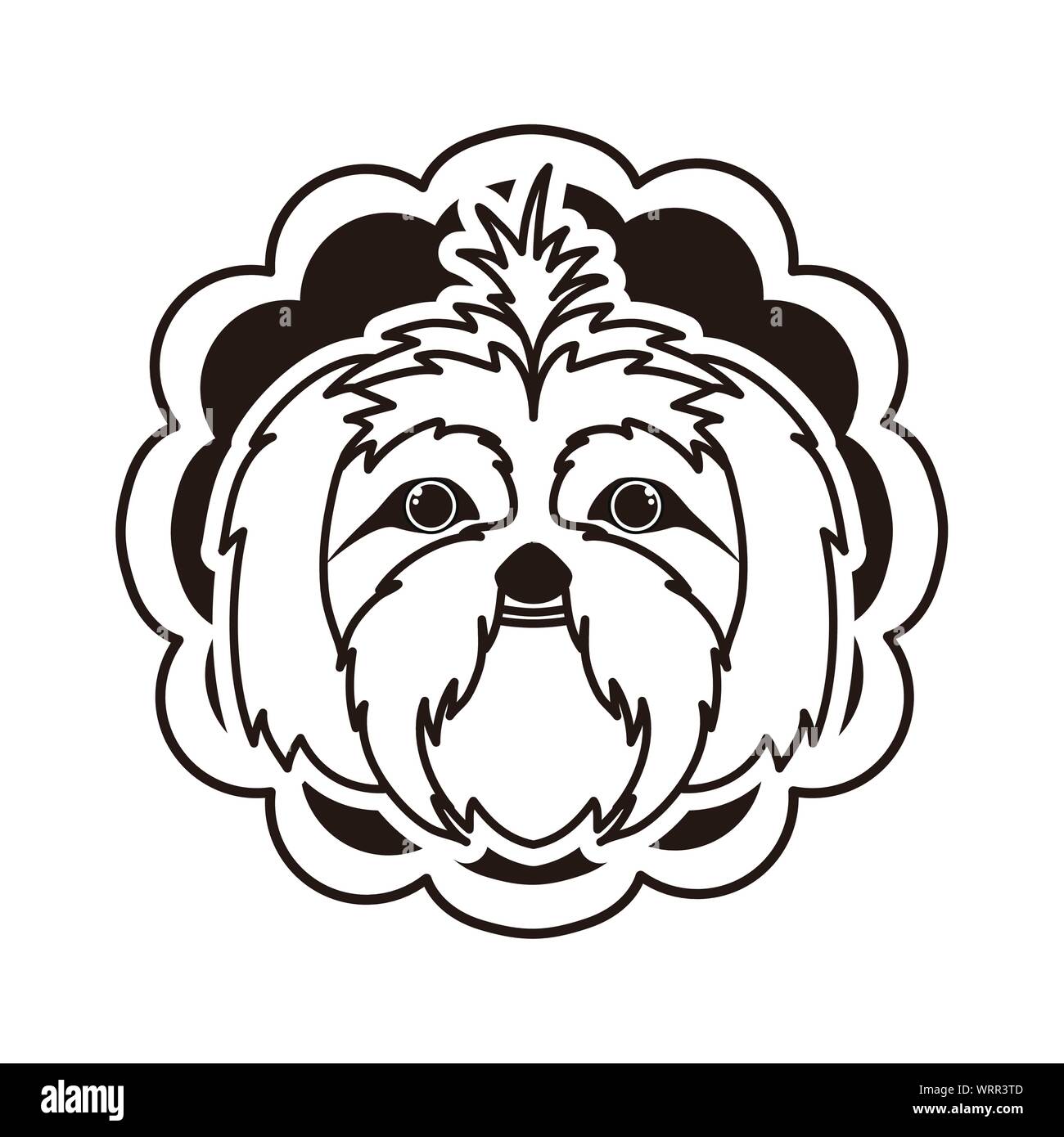 Shih Tzu Silhouette Banque d'image et photos - Alamy