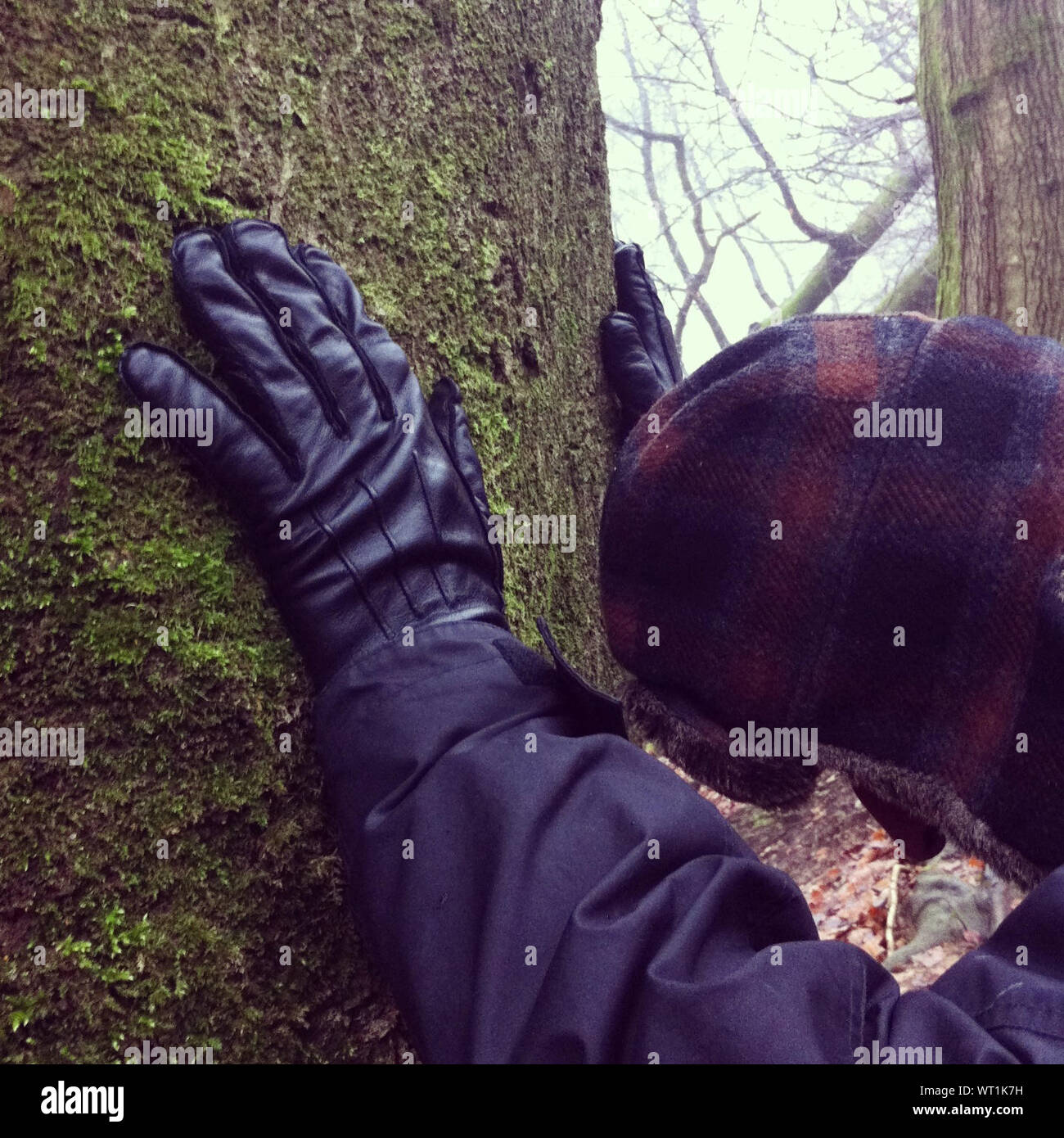 Tronc de flexion Banque de photographies et d’images à haute résolution ...