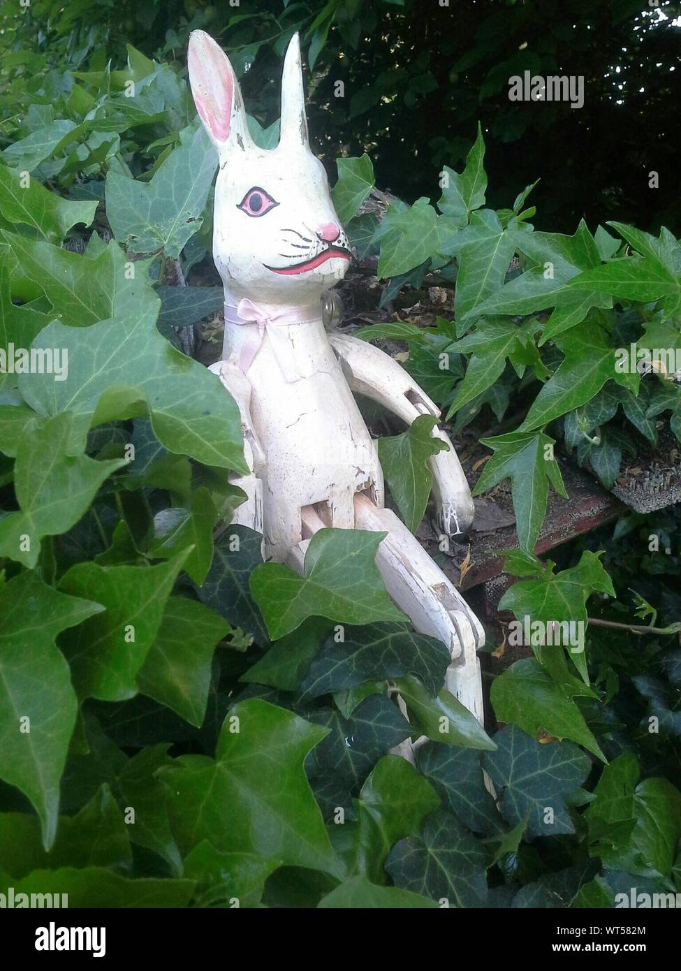 Lapin Robot Banque d'image et photos - Alamy