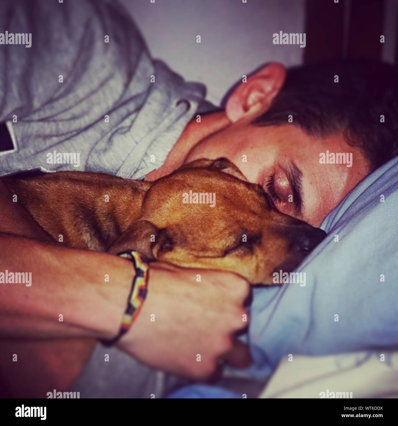 Dog man sleeping bed home bed Banque de photographies et d’images à ...