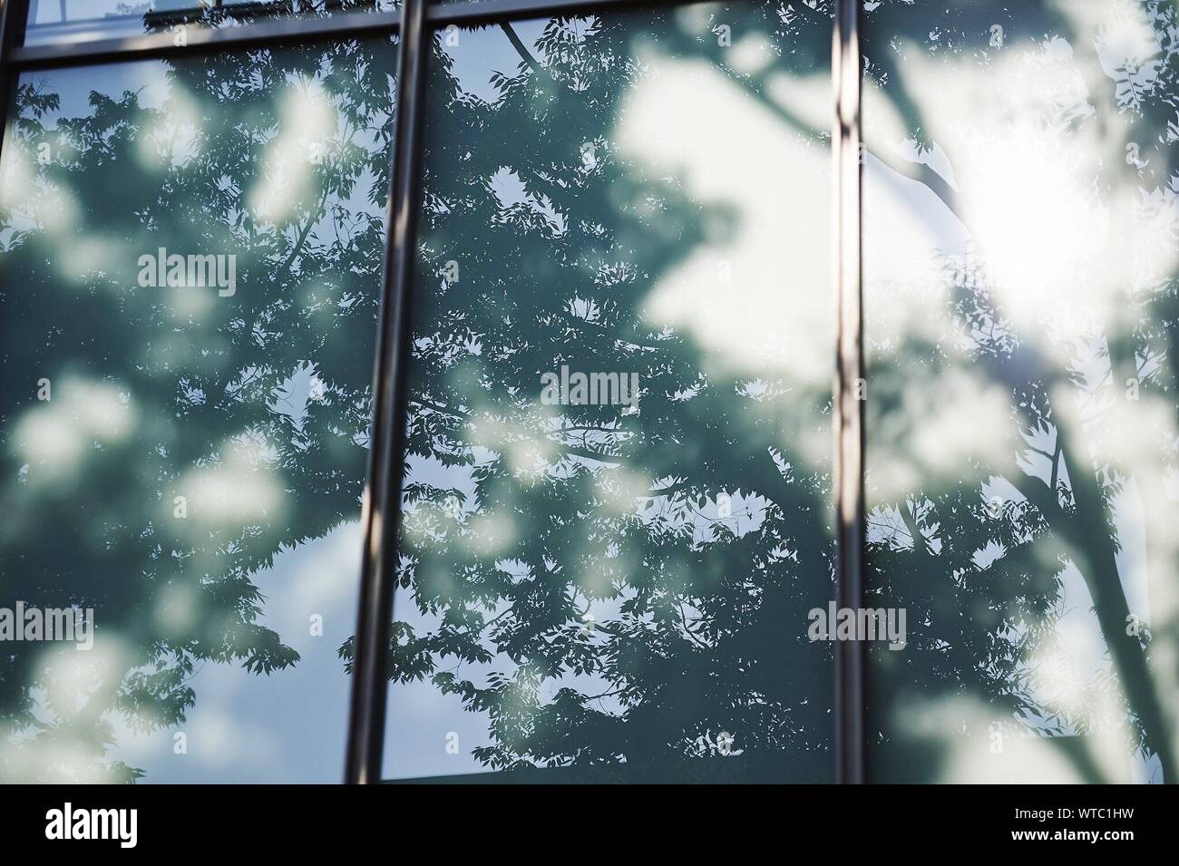 Reflet De La Vitrine Banque d'image et photos - Alamy