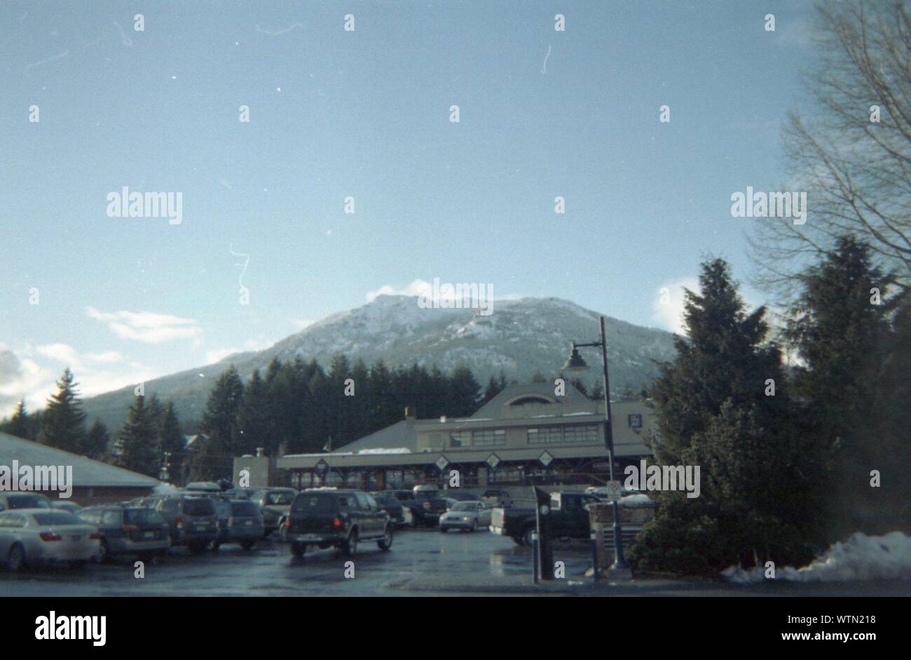 Pin alpin Banque de photographies et d’images à haute résolution - Alamy