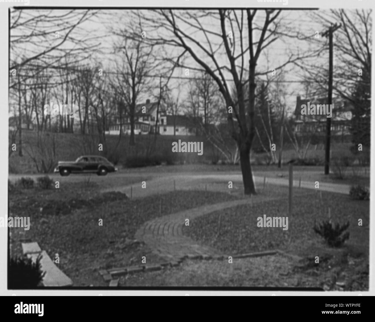 Mme sauvage Banque de photographies et d’images à haute résolution - Alamy