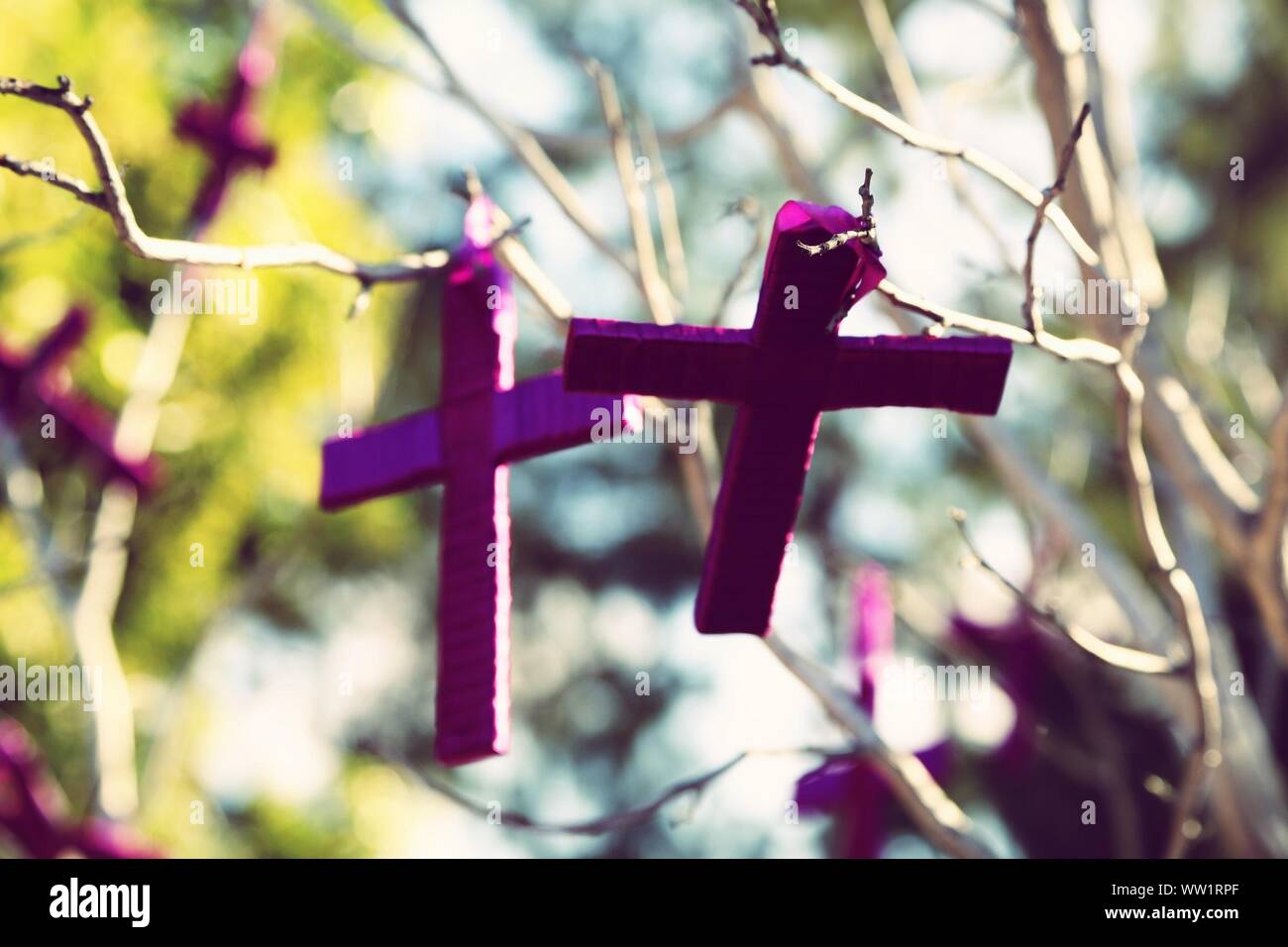 Croix roses Banque de photographies et d’images à haute résolution - Alamy