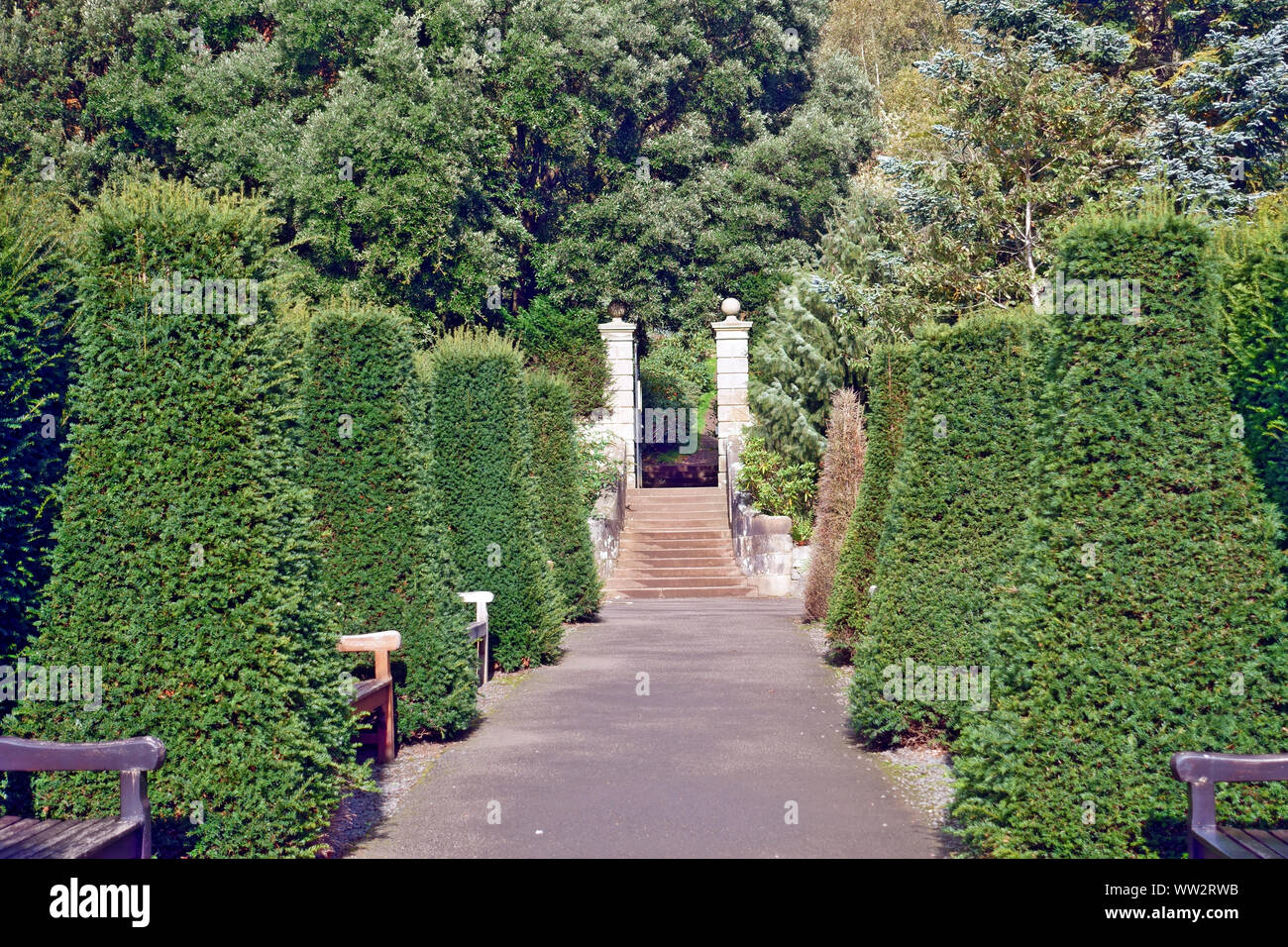 Pollok country park Banque de photographies et d’images à haute ...