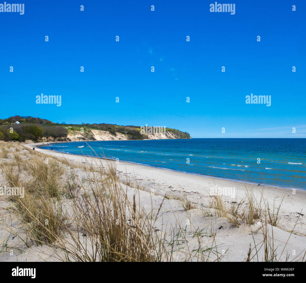 Mer qui fleurit sur la plage Banque de photographies et d’images à ...