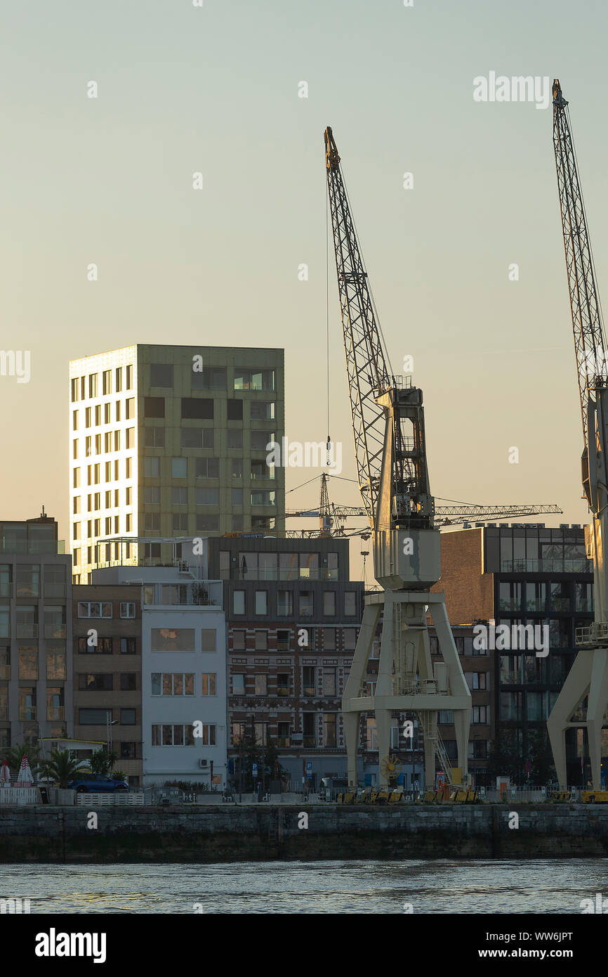 Anvers belgique architecture Banque de photographies et d’images à ...