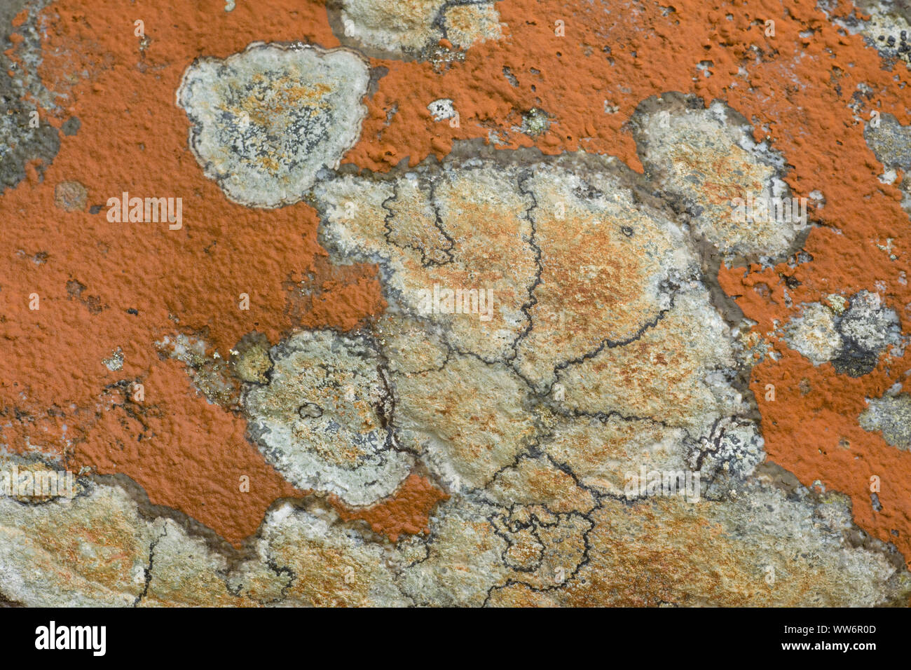 Structure rocheuse Banque de photographies et d’images à haute ...