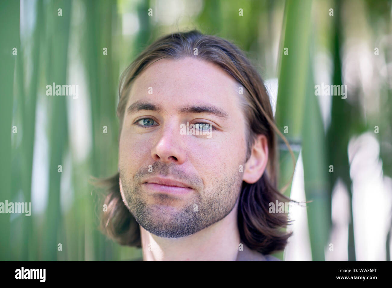 Barbe verte Banque de photographies et d’images à haute résolution - Alamy