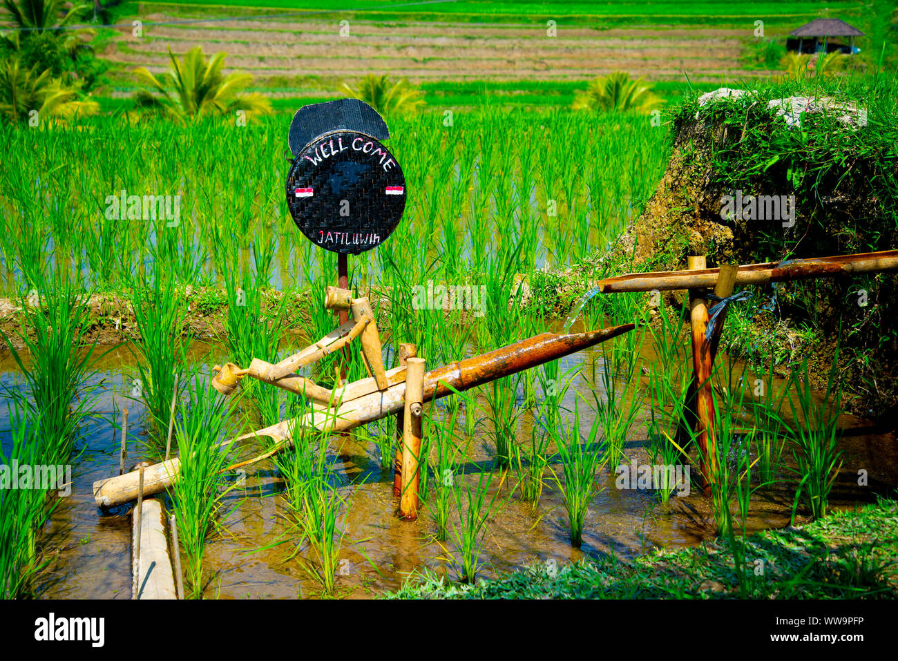 Paddy irrigation Banque de photographies et d’images à haute résolution ...