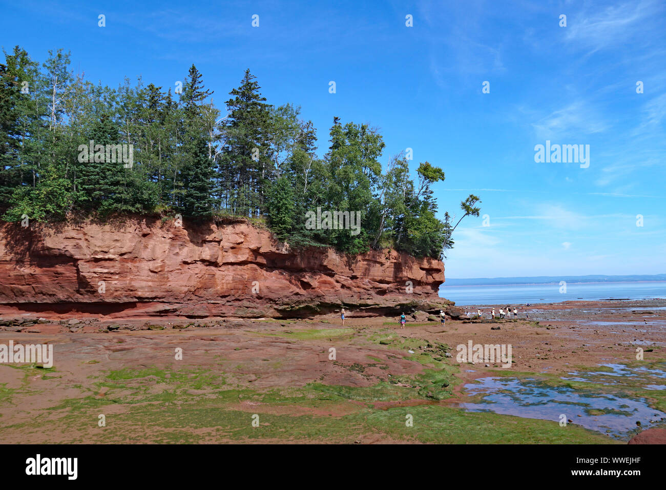 La baie de Fundy, en Nouvelle-Écosse, le parc provincial de Burntcoat ...