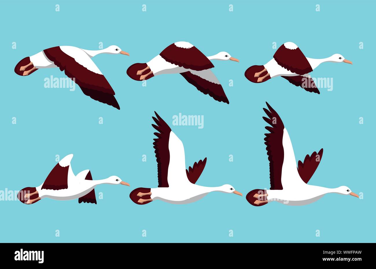 Groupe d'oiseaux en vol Banque d'images vectorielles - Alamy