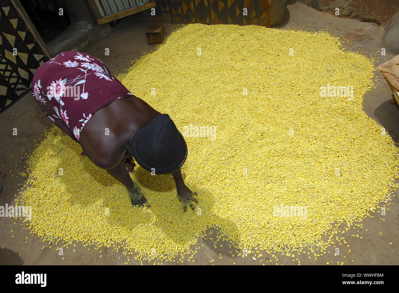 Caroube africaine Banque de photographies et d’images à haute ...