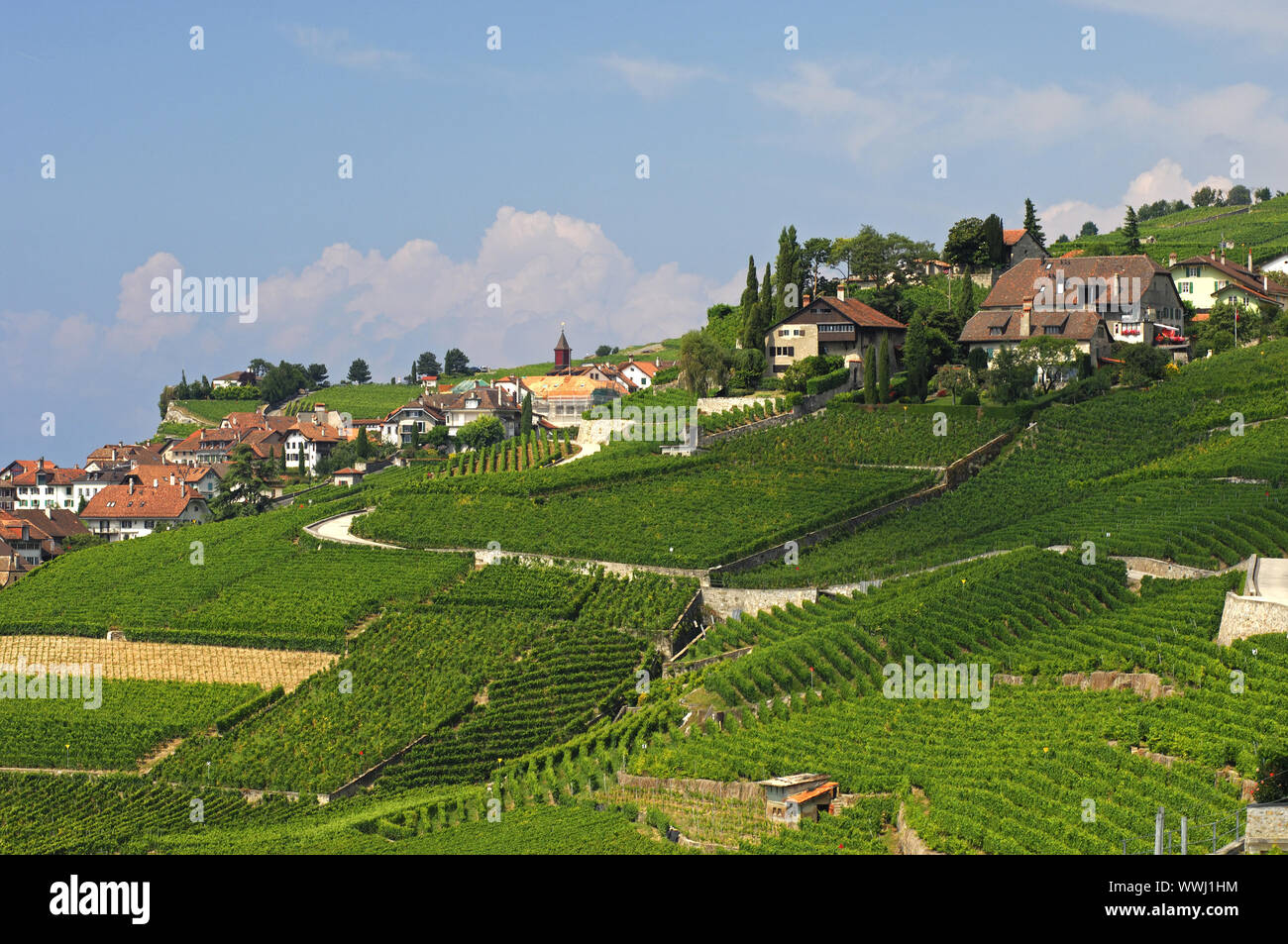 Rivaz suisse Banque de photographies et d’images à haute résolution - Alamy