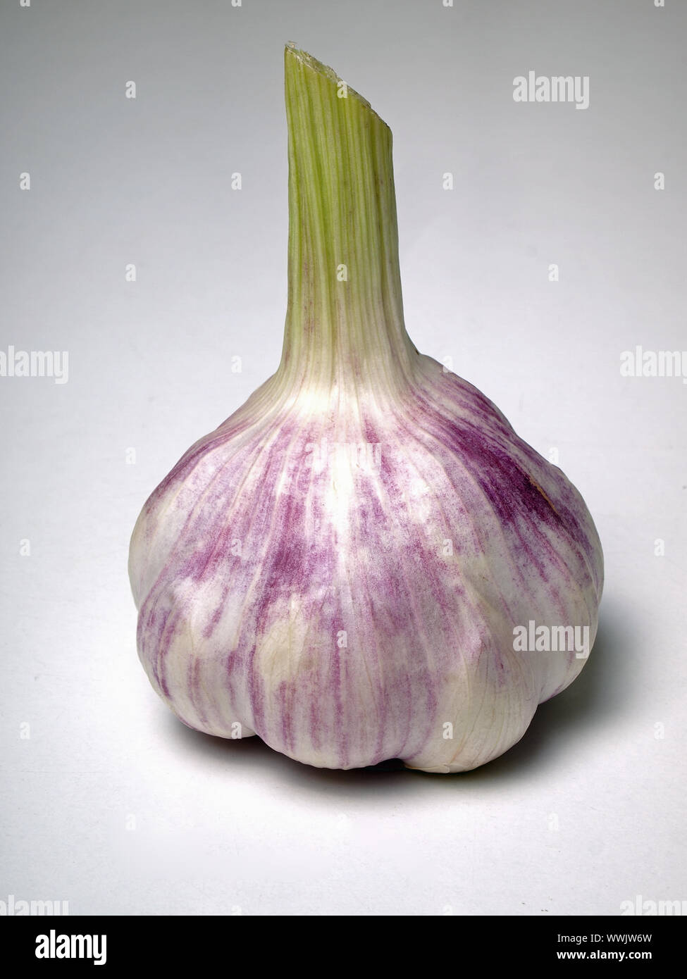 Ail nouveau Banque de photographies et d’images à haute résolution - Alamy