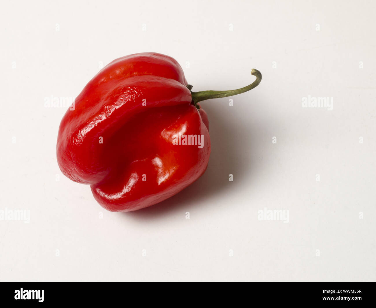 Piment habanero Banque de photographies et d’images à haute résolution ...