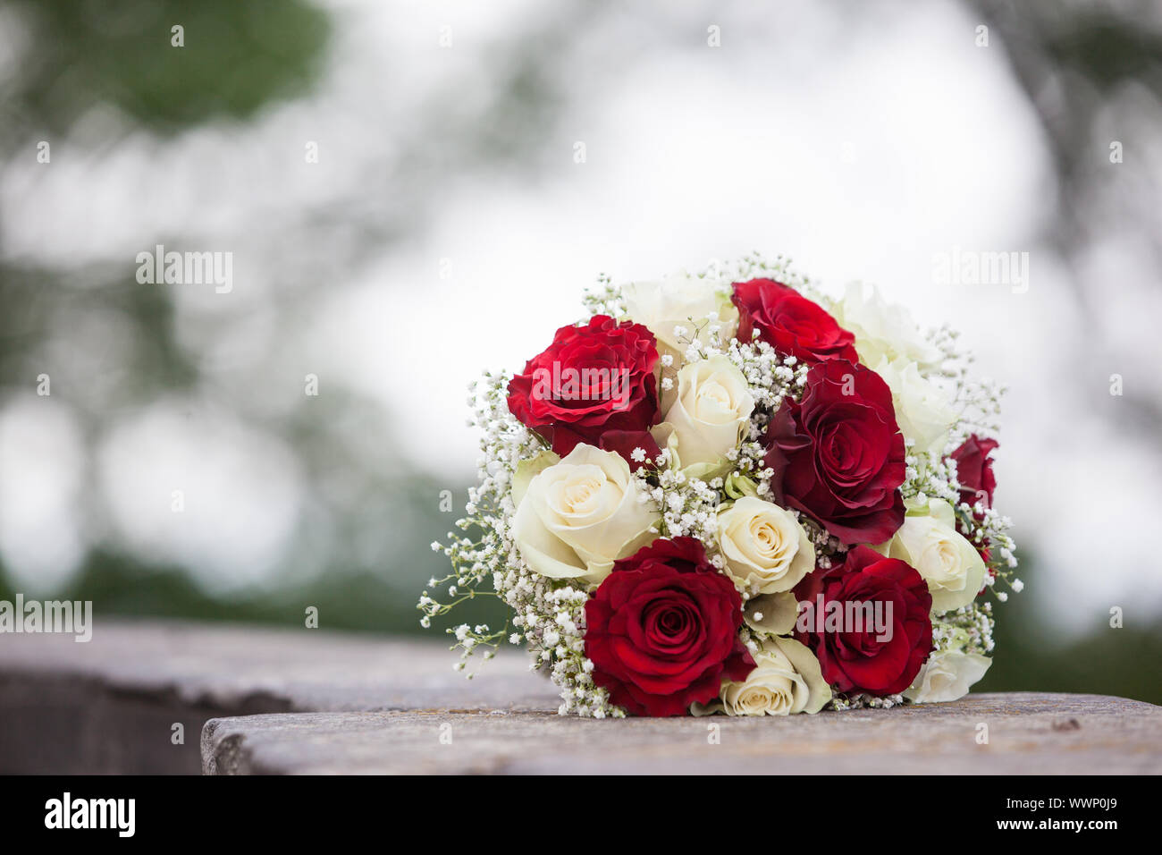 Railing parapet Banque de photographies et d’images à haute résolution ...