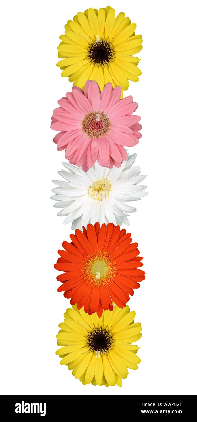 Lettre i alphabet Banque de photographies et d’images à haute ...