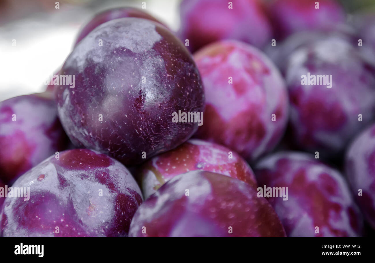 Grand fruit Banque de photographies et d’images à haute résolution - Alamy