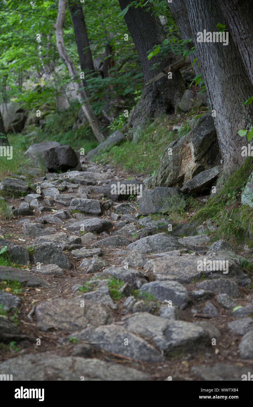 Fernwanderweg harzer hexenstieg hexen stieg Banque de photographies et ...
