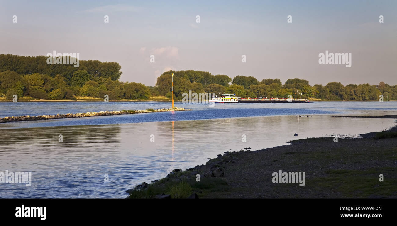 La Wupper river se jette dans le Rhin, Leverkusen, Nordrhein-Westfalen ...