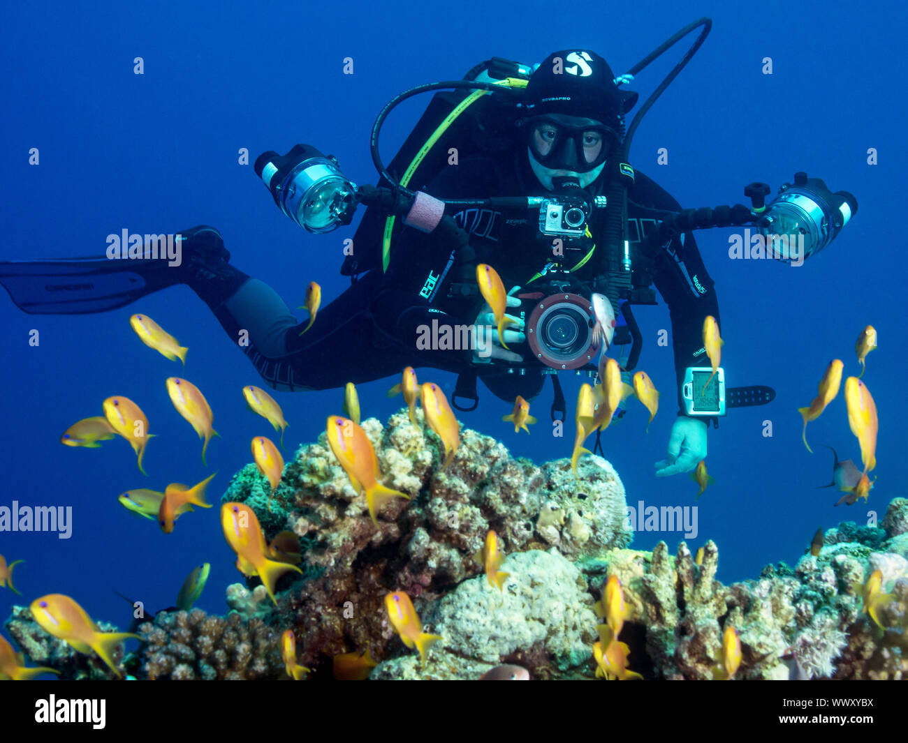 Portrait de plongeur Banque de photographies et d’images à haute ...