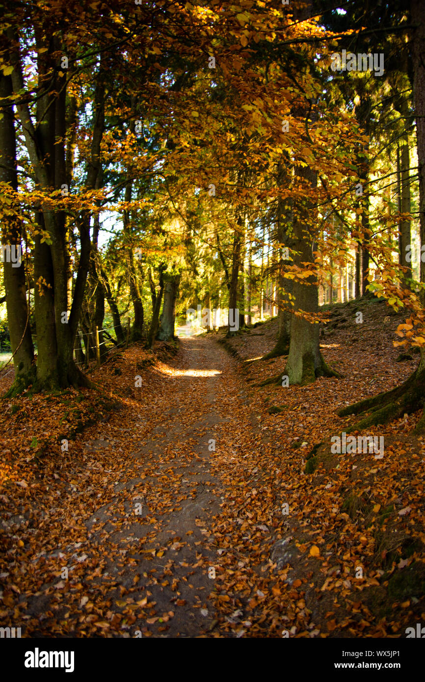 Chemin creux Banque de photographies et d’images à haute résolution - Alamy
