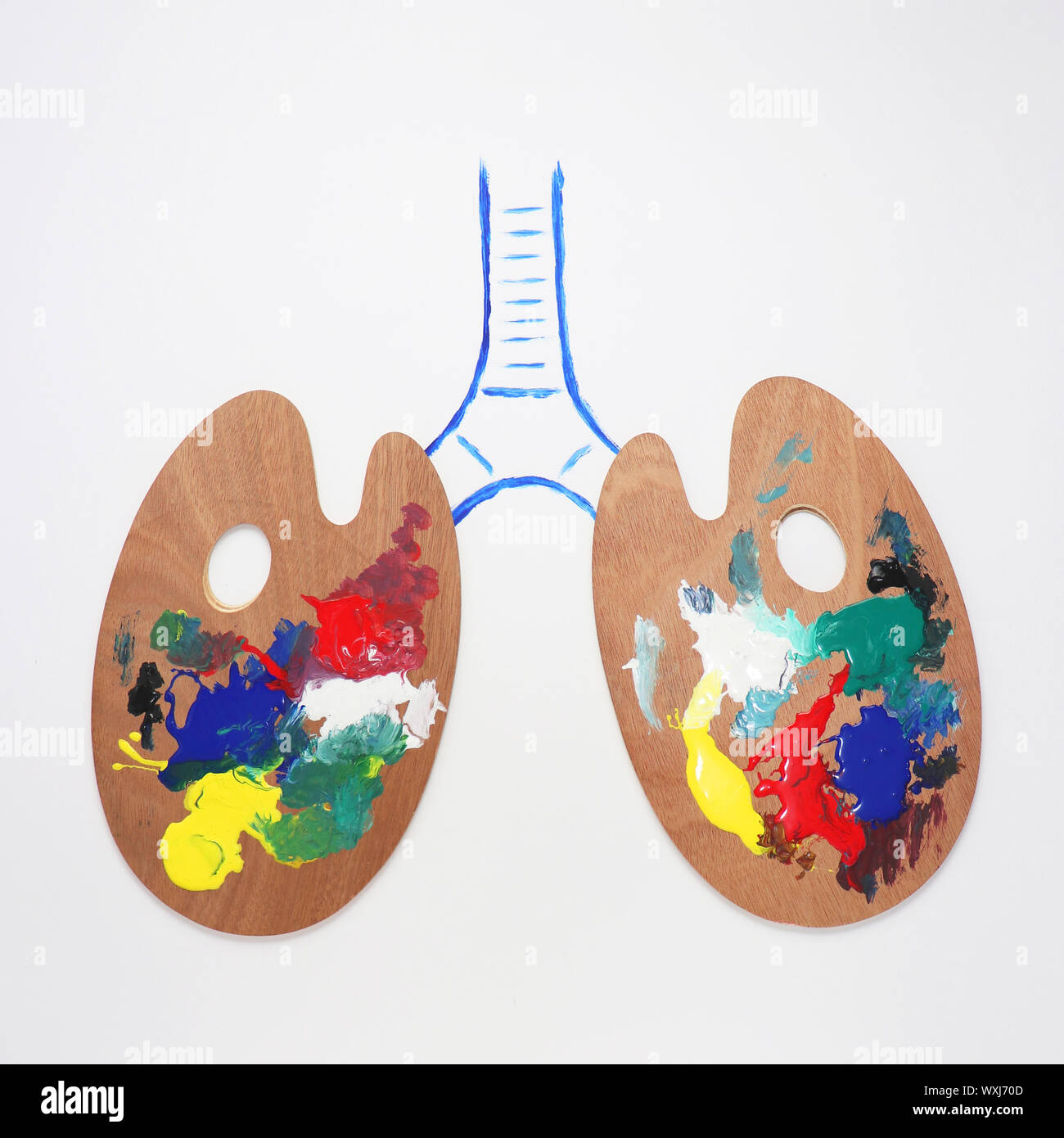 Organe interne des poumons humains Banque de photographies et d’images ...