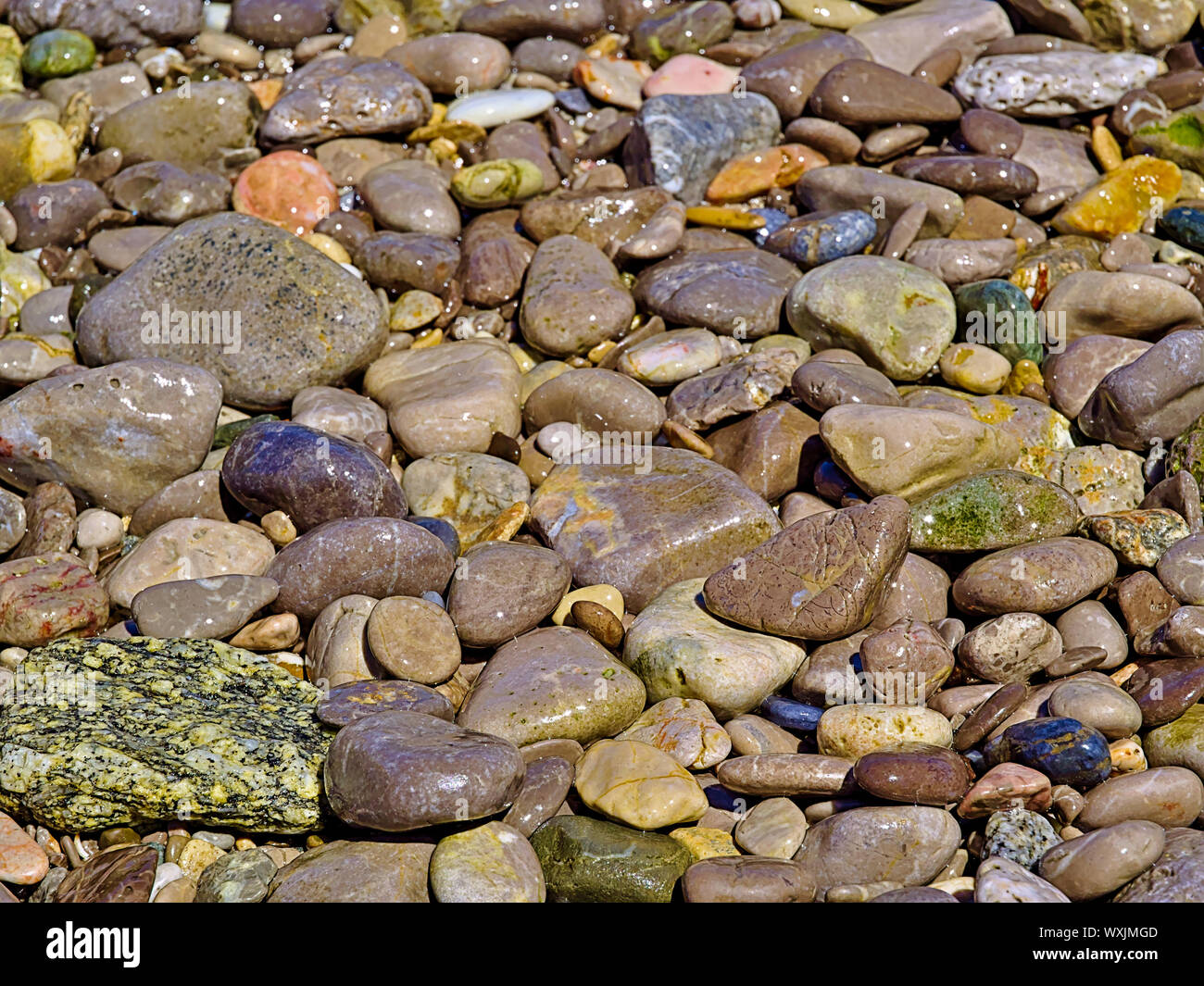 Plage de galets colorés close up, belle texture seamless background ...
