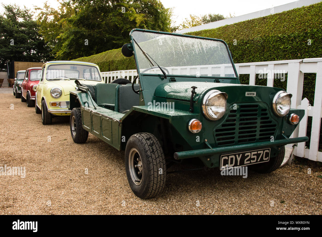 Mini vert Banque de photographies et d’images à haute résolution - Alamy