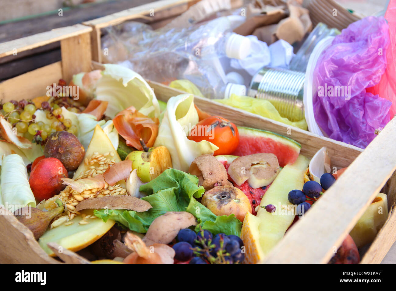 Les différents déchets. Tri des déchets : fer, papier, plastique ...