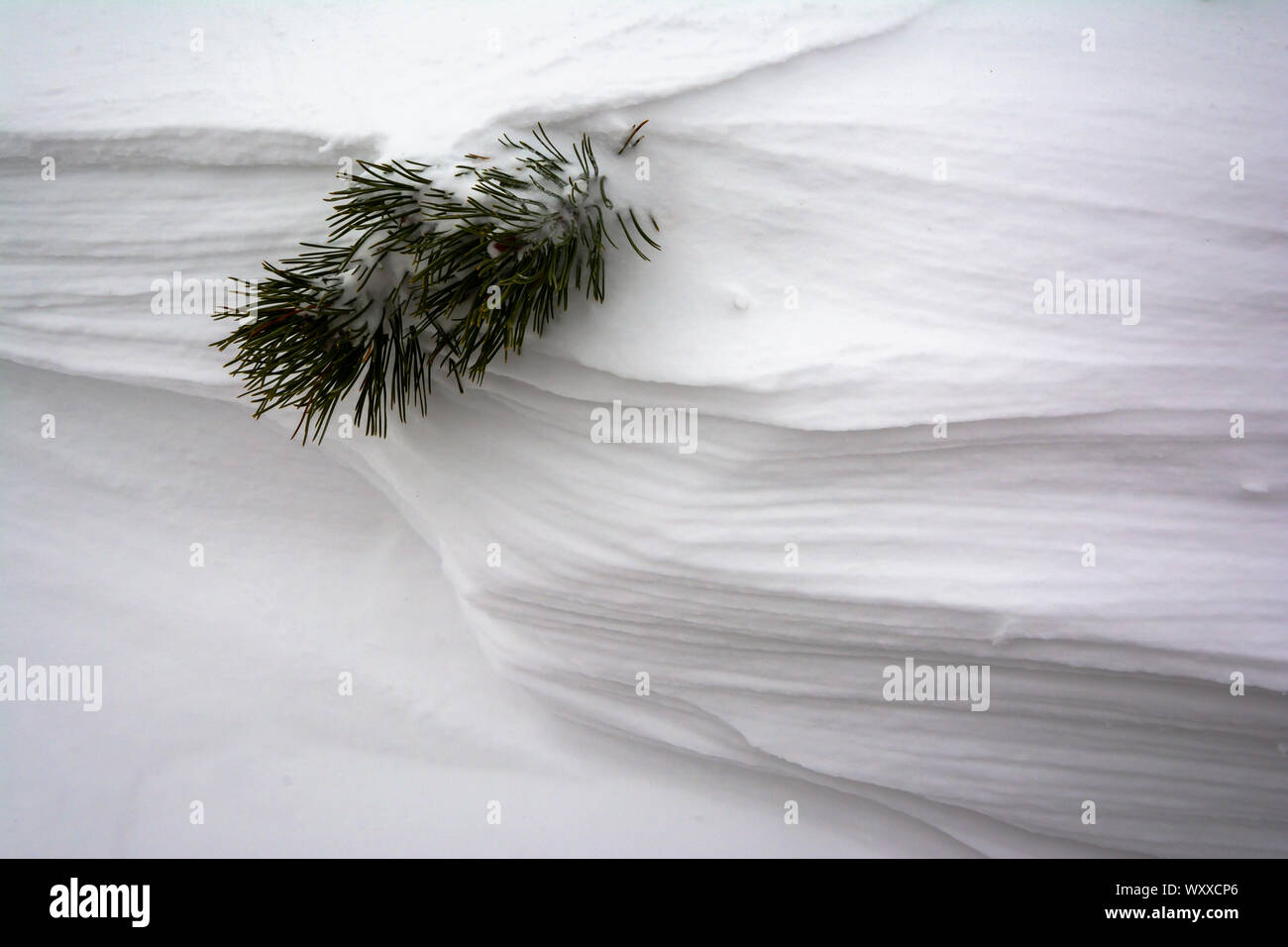Femme sortant de l'eau Banque de photographies et d’images à haute ...