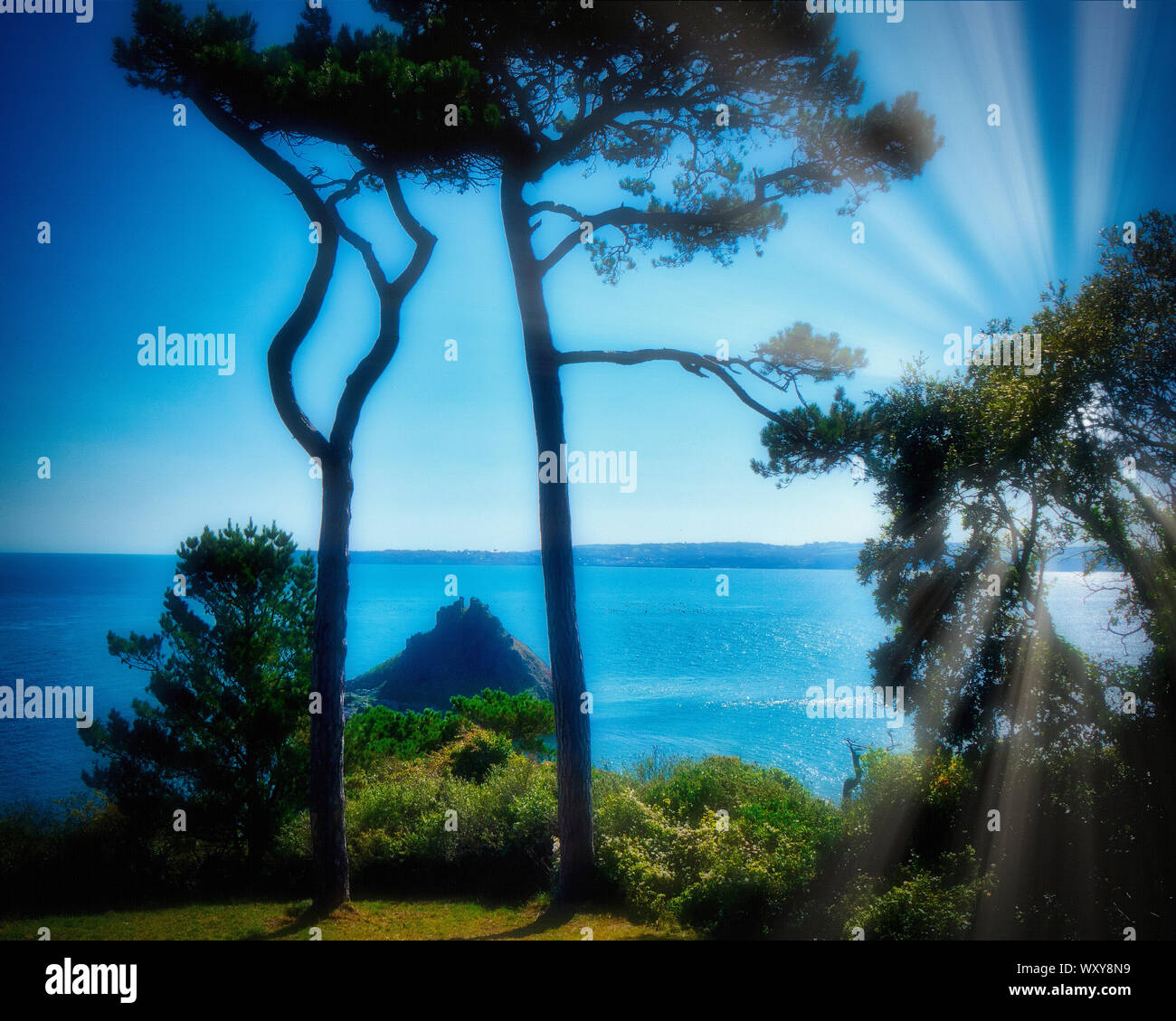 Vue torquay sur le rocher de thatcher Banque de photographies et d ...