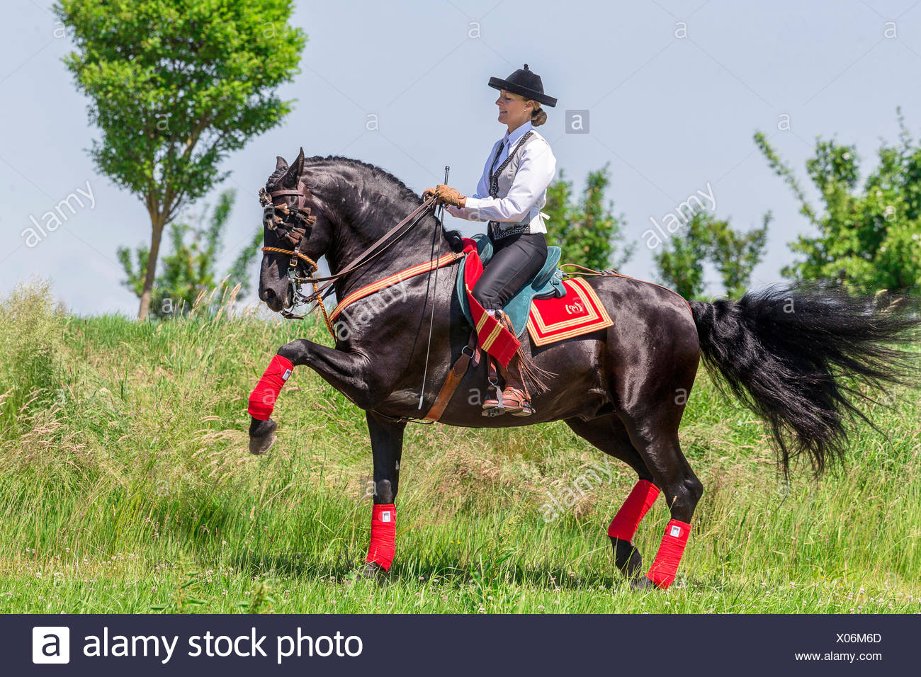 Costume Traditionnel Espagnol Banque d'image et photos - Alamy
