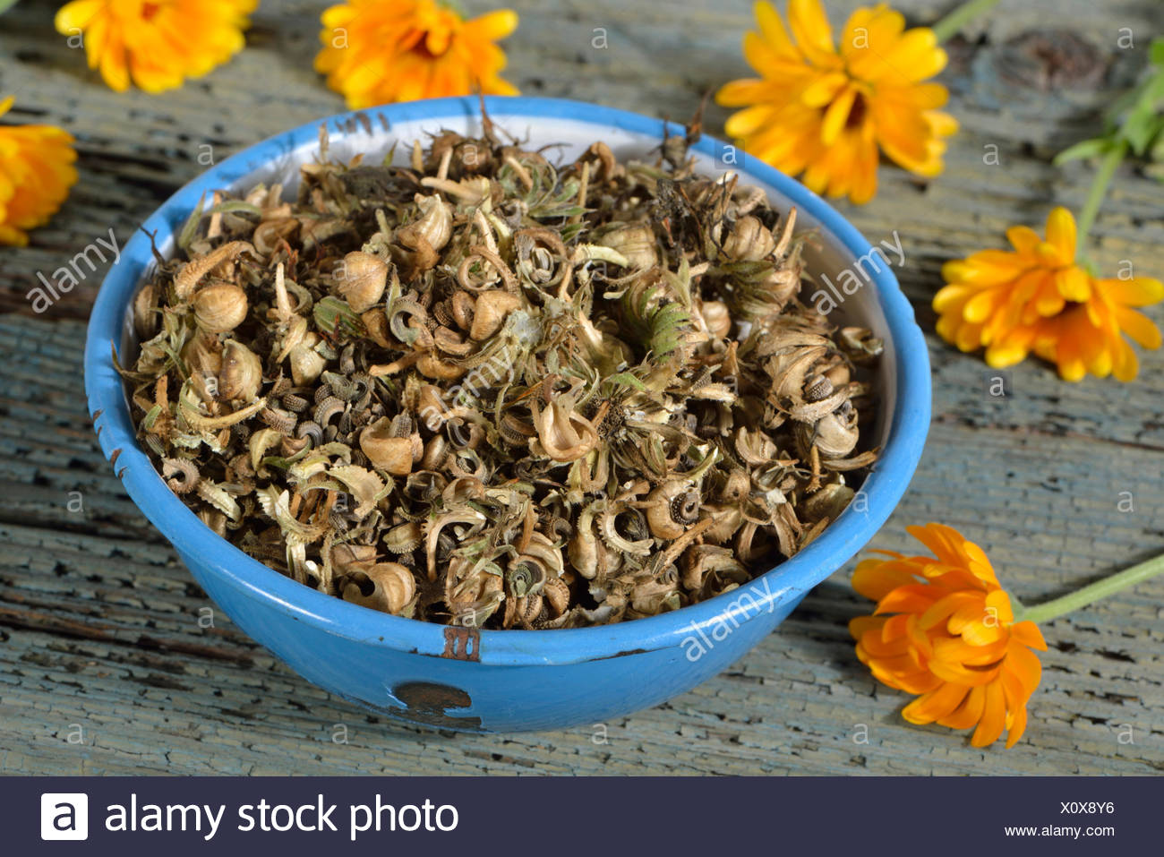 Graines De Soucis Fleurs