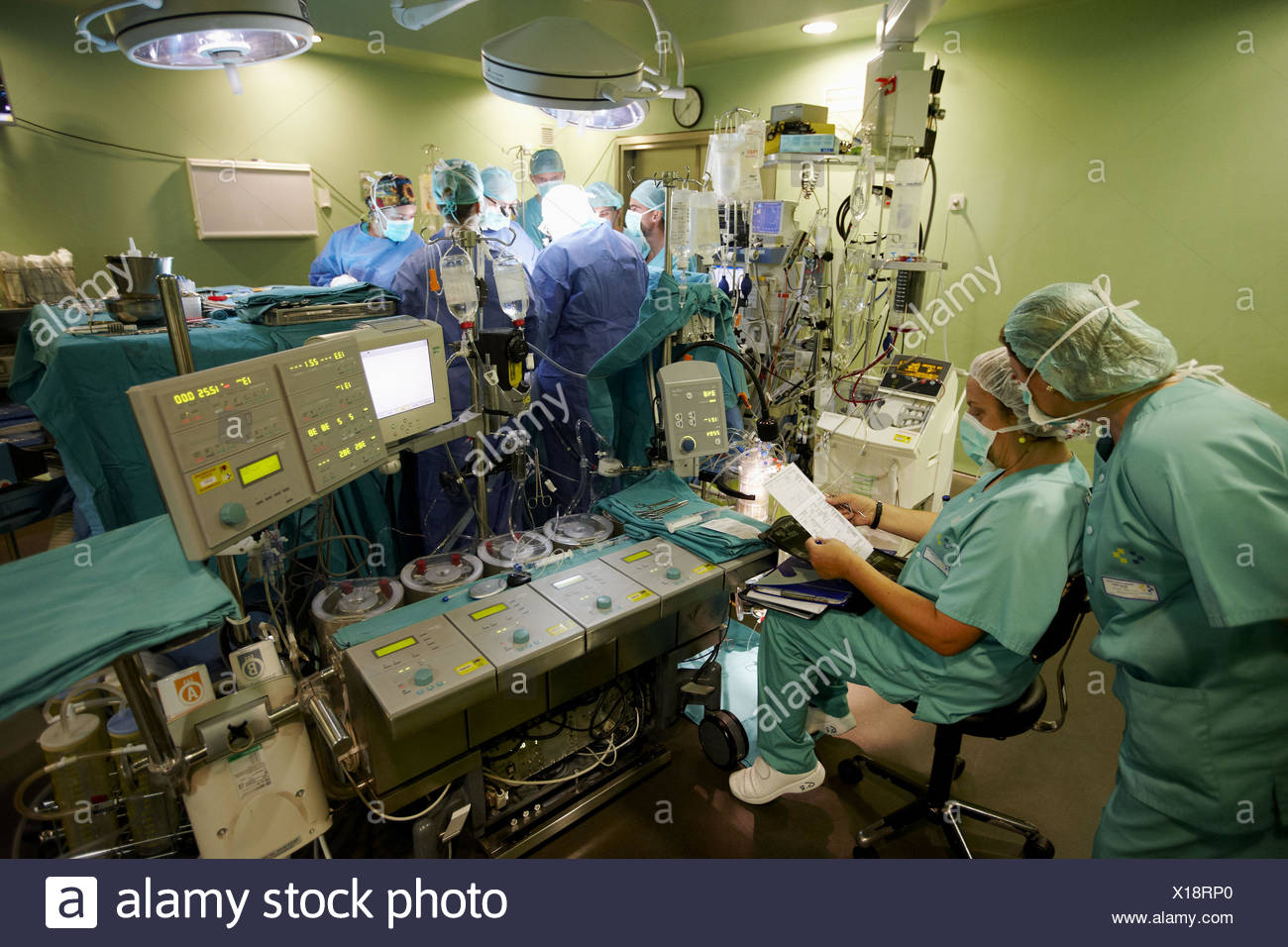 Aortic Valve Photos & Aortic Valve Images - Alamy