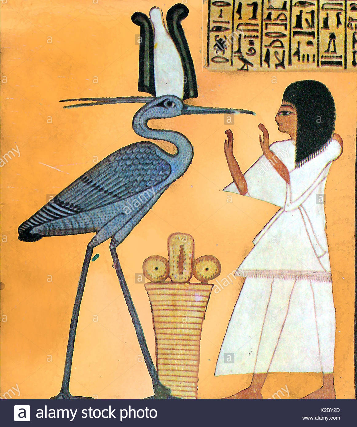 Oiseau Benu Banque d'image et photos - Alamy